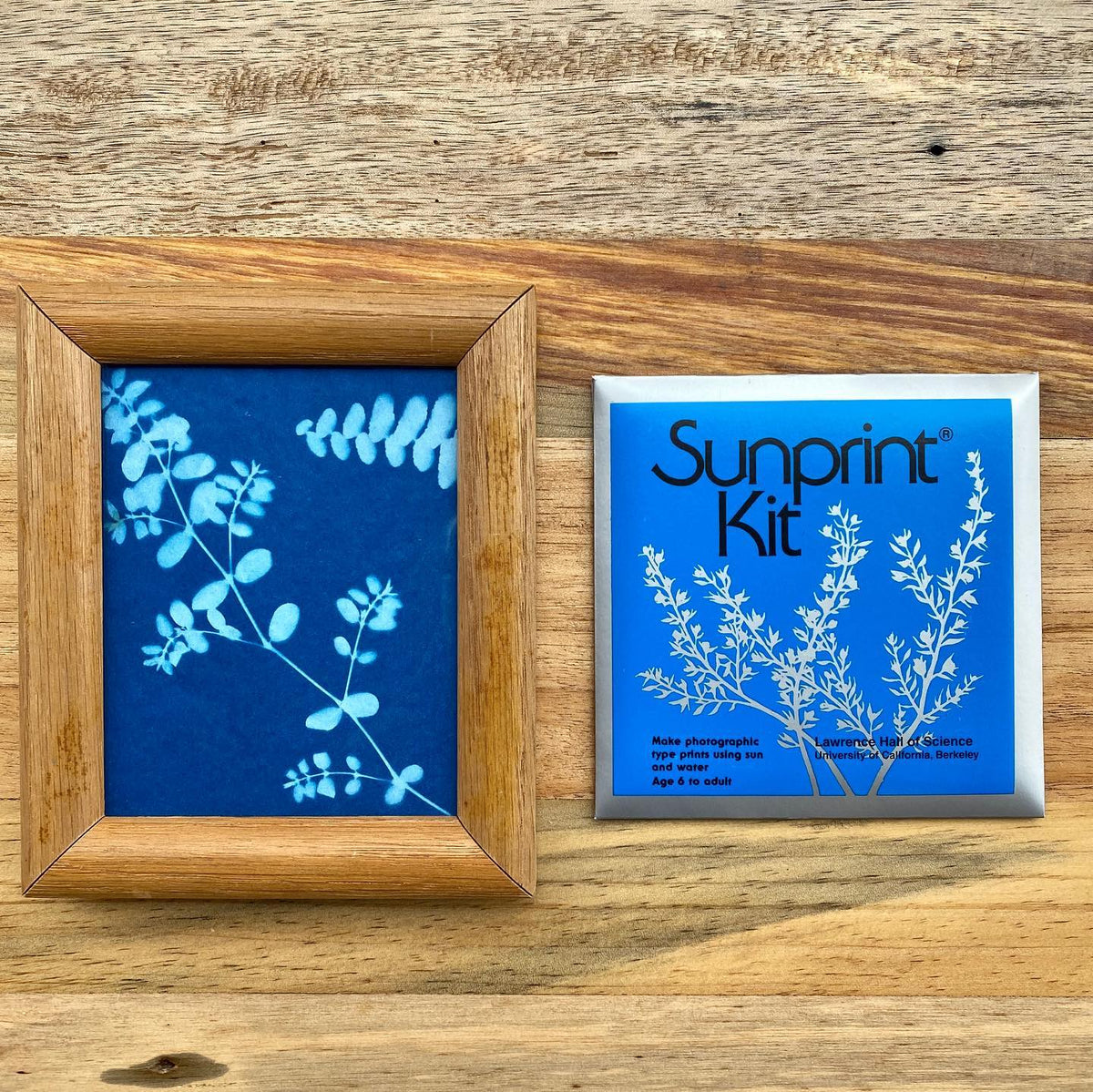 Super Size Sunprint Kit – Handworks Gallery Winchester, Virginia